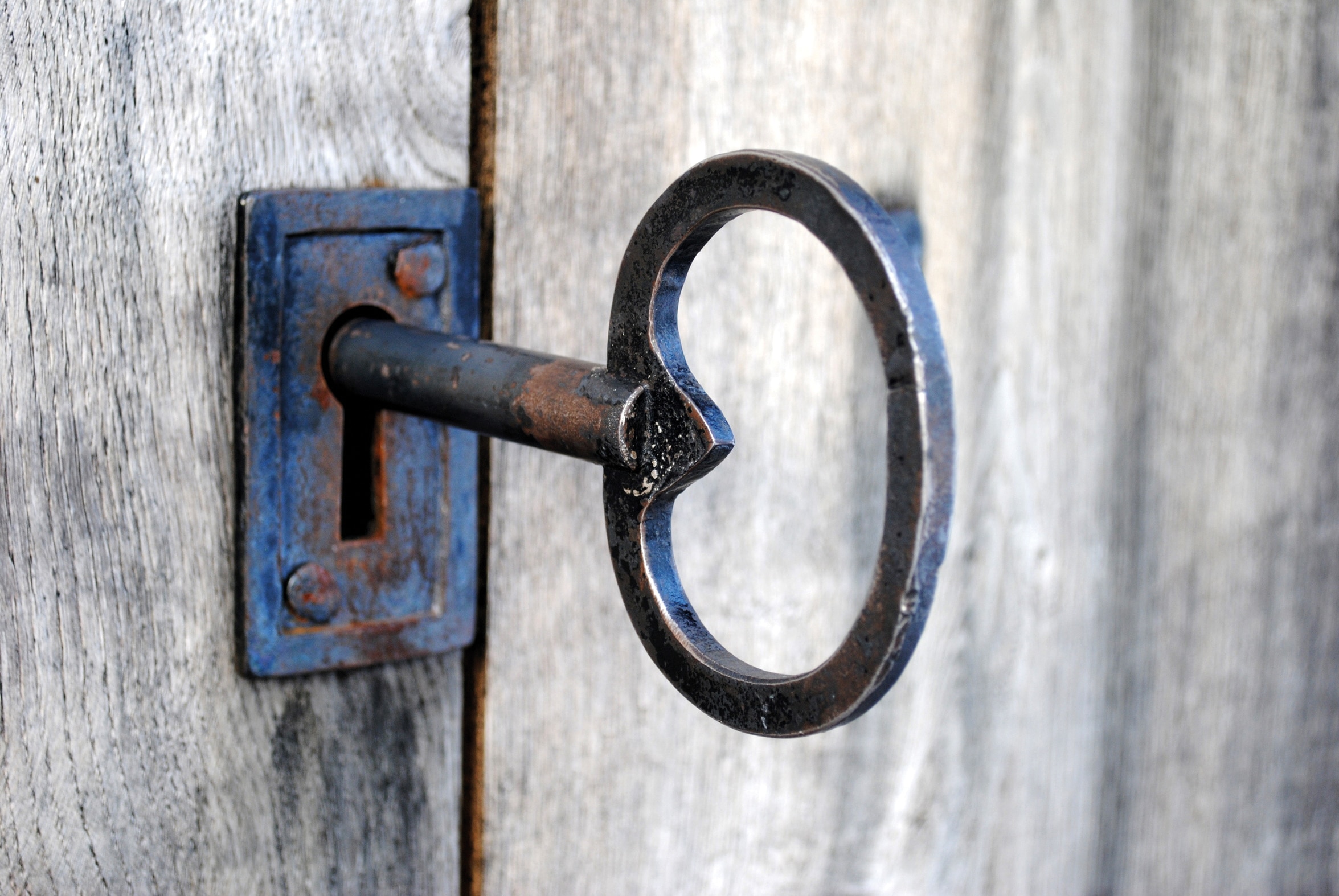 Multi-Purpose Lubricant Oil | Transyl Oil | Owatrol Direct