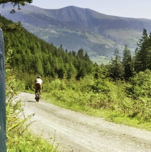 Owatrol Direct | "The Professional's Choice"