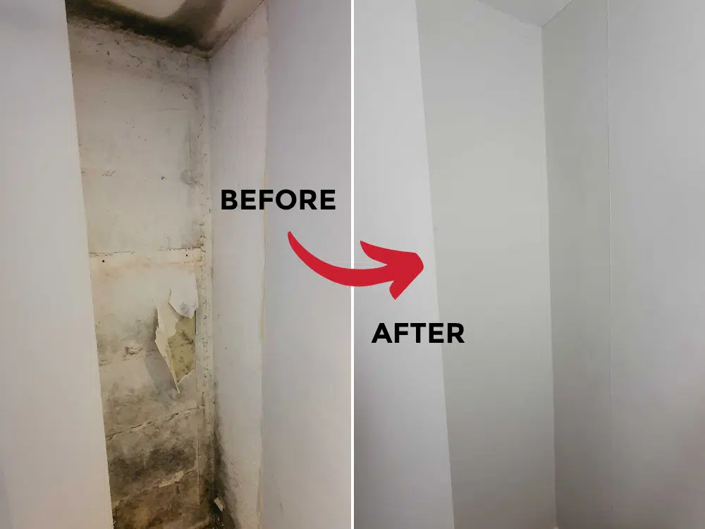 How to stop mould on walls with VC175 Mould Killer | Owatrol Direct